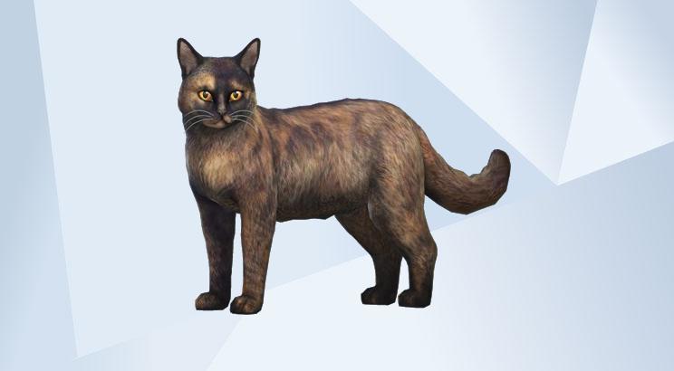 The Sims - The Gallery - Official Site