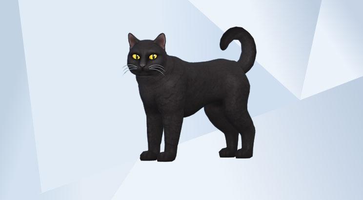 The Sims - The Gallery - Official Site