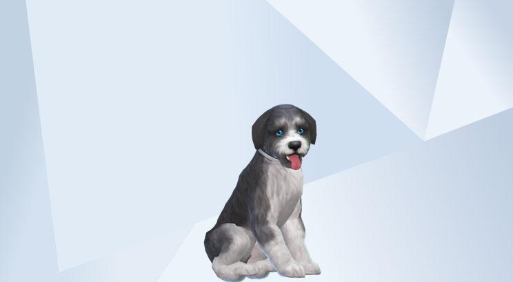 The Sims - The Gallery - Official Site