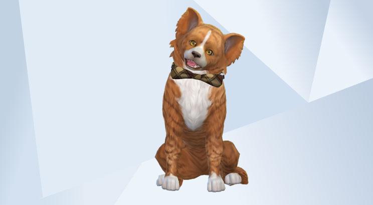The Sims - The Gallery - Official Site