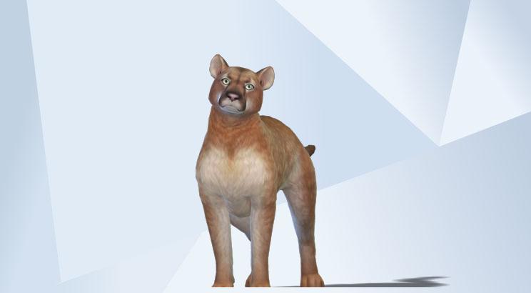 The Sims - The Gallery - Official Site