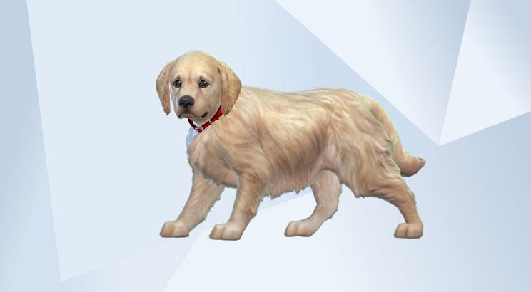 The Sims - The Gallery - Official Site