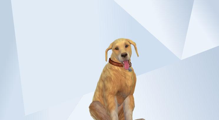 The Sims - The Gallery - Official Site