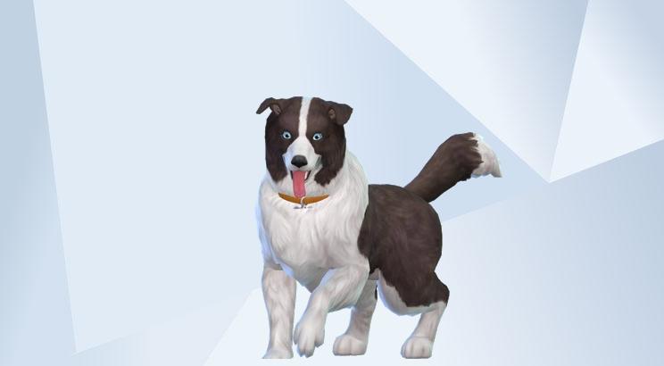 The Sims - The Gallery - Official Site