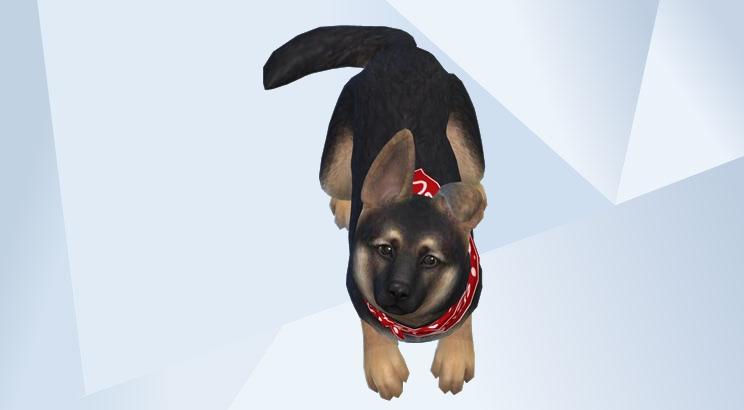 The Sims - The Gallery - Official Site