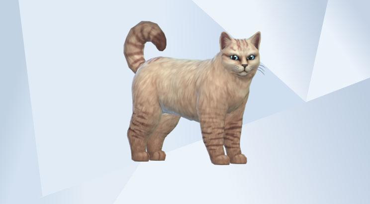 The Sims - The Gallery - Official Site
