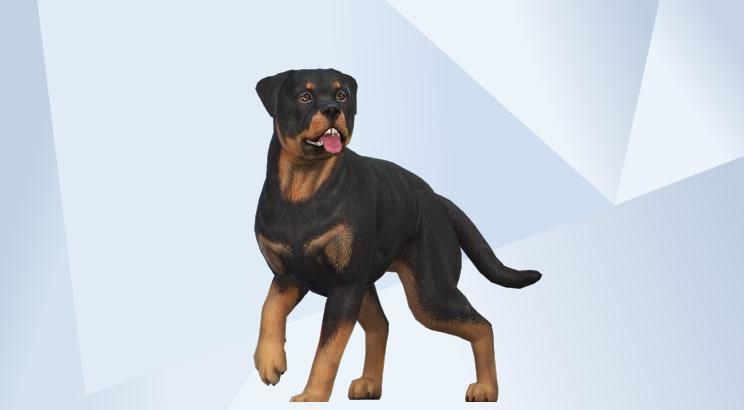 The Sims - The Gallery - Official Site