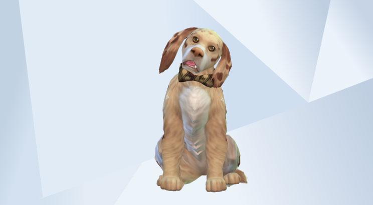 The Sims - The Gallery - Official Site