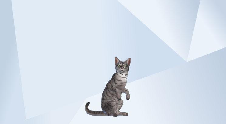 The Sims - The Gallery - Official Site