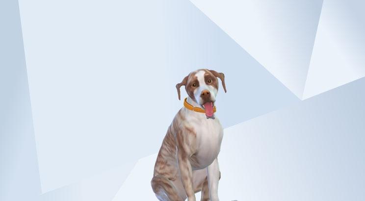 The Sims - The Gallery - Official Site