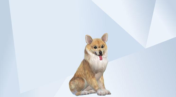 The Sims - The Gallery - Official Site