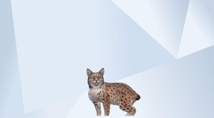 Die Sims - Die Galerie - Offizielle Website